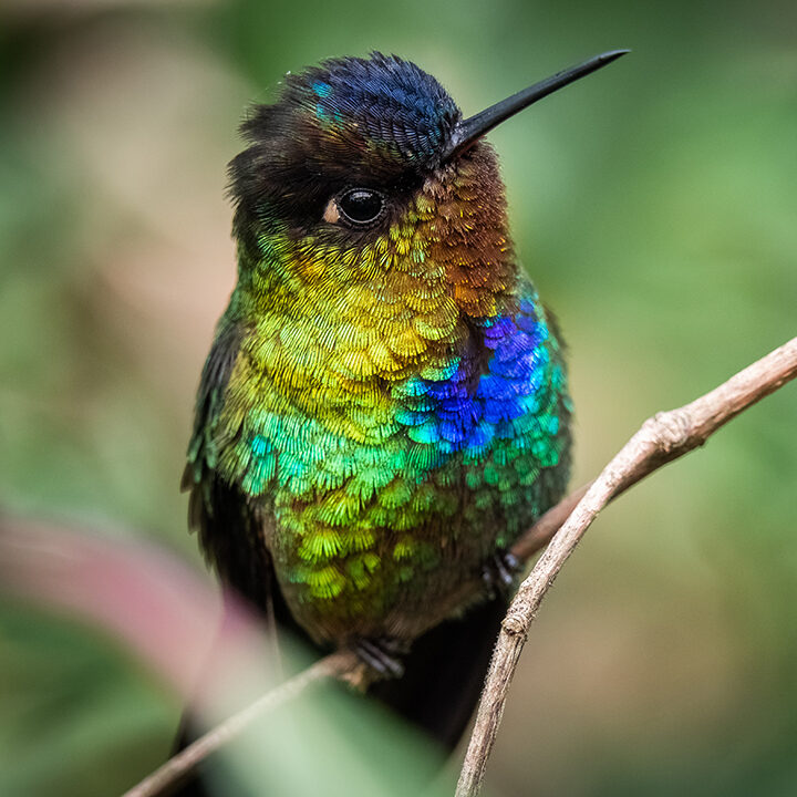 How to Calibrate Your TV